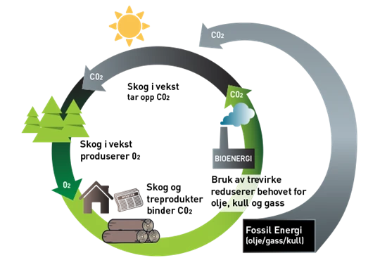 Bioenergi - jakhelln gruppen